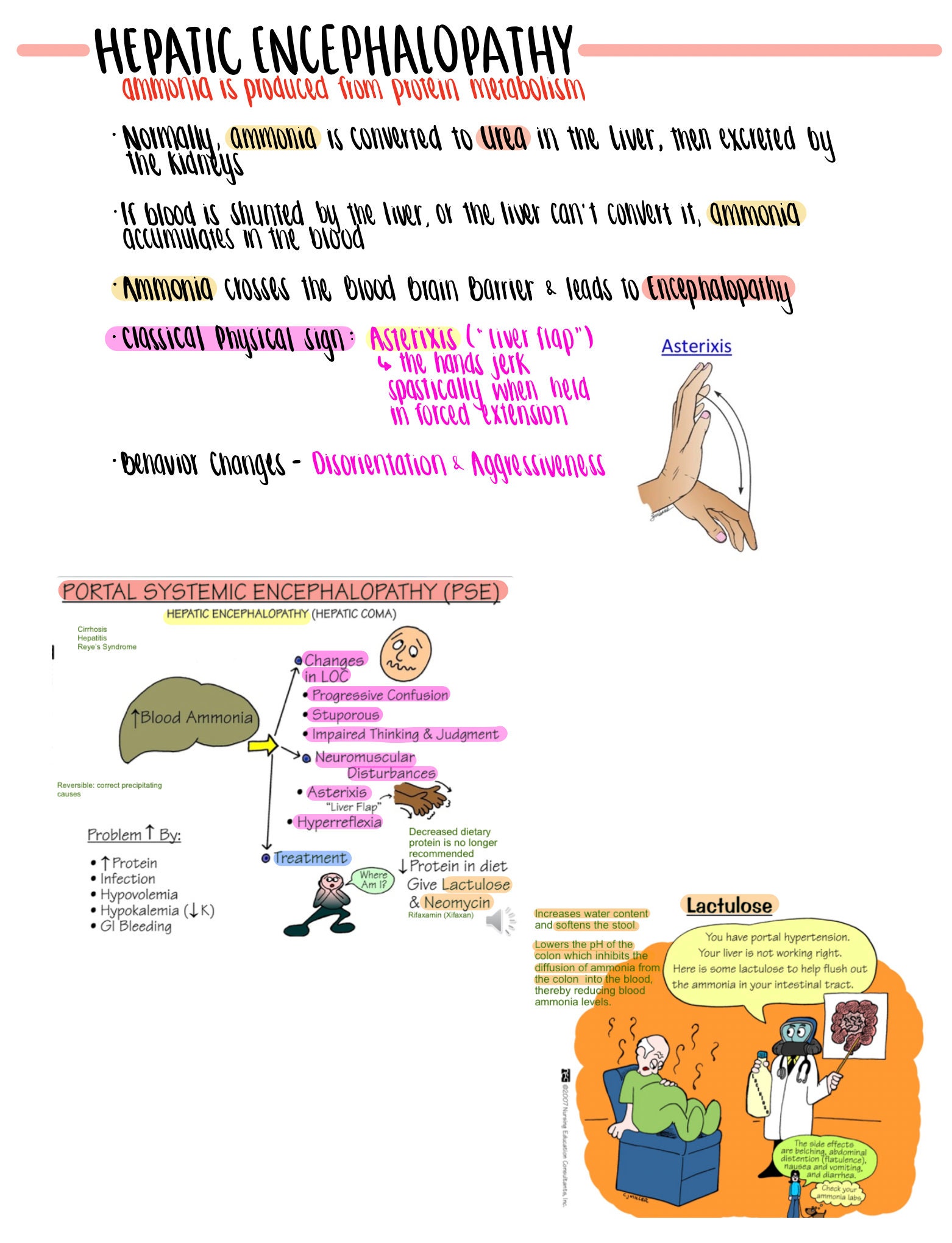 NOTES on Diseases of the Gallbladder, Pancreas, and Liver - Etsy