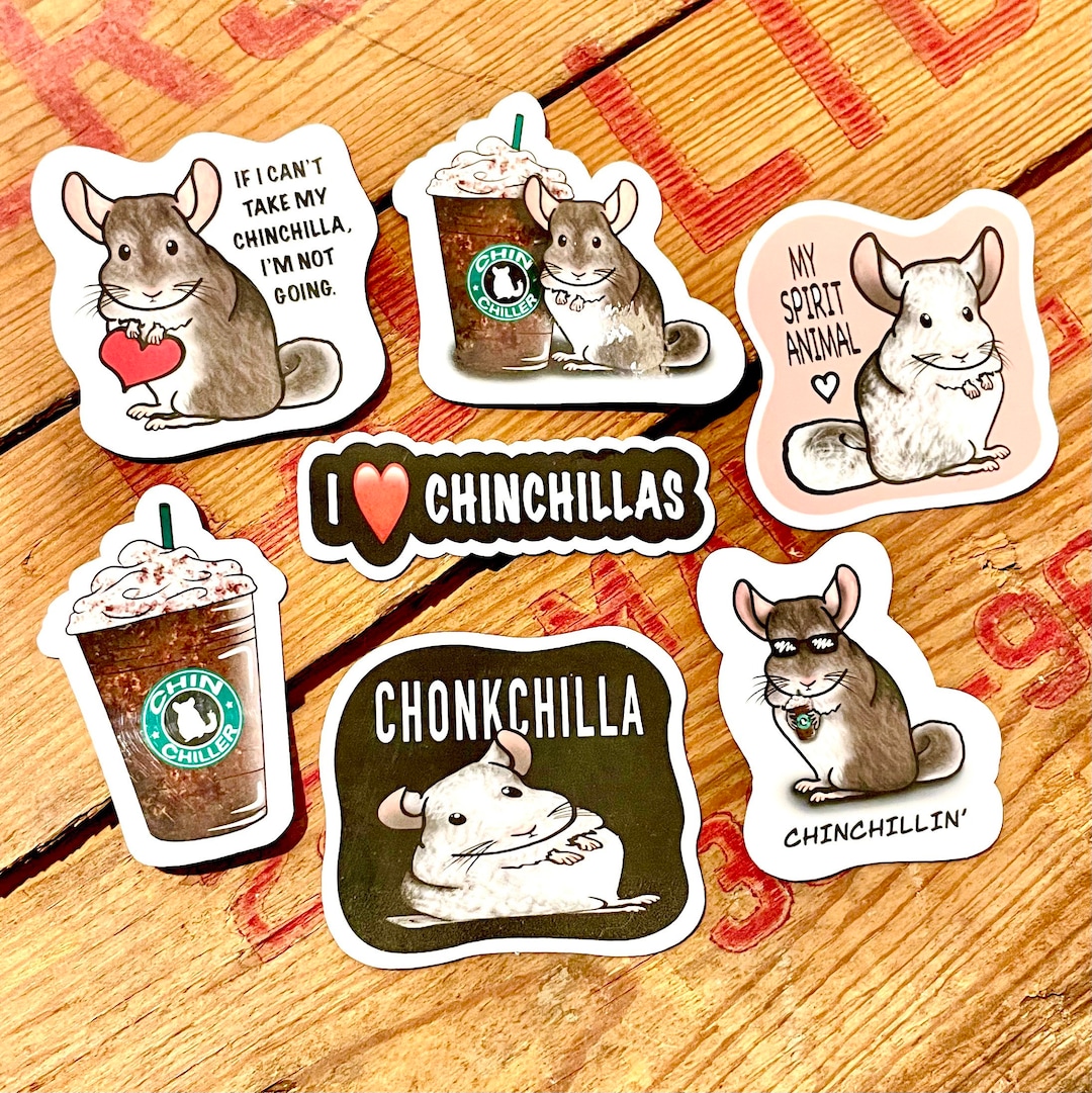 Chinchilla STICKER PACK | Set of 7 | Chinchilla Stickers | Sticker Set ...
