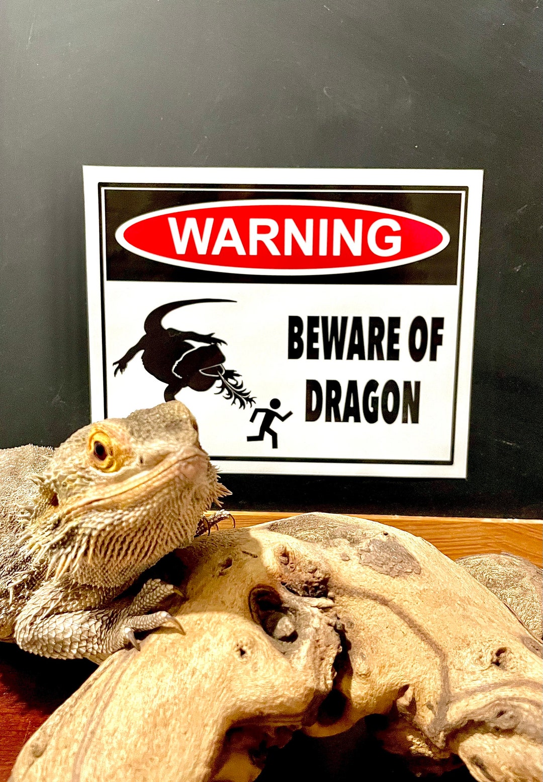 XXL Bearded Dragon Warning Sticker ~ 8.25” X 6.5” | Bearded Dragon ...