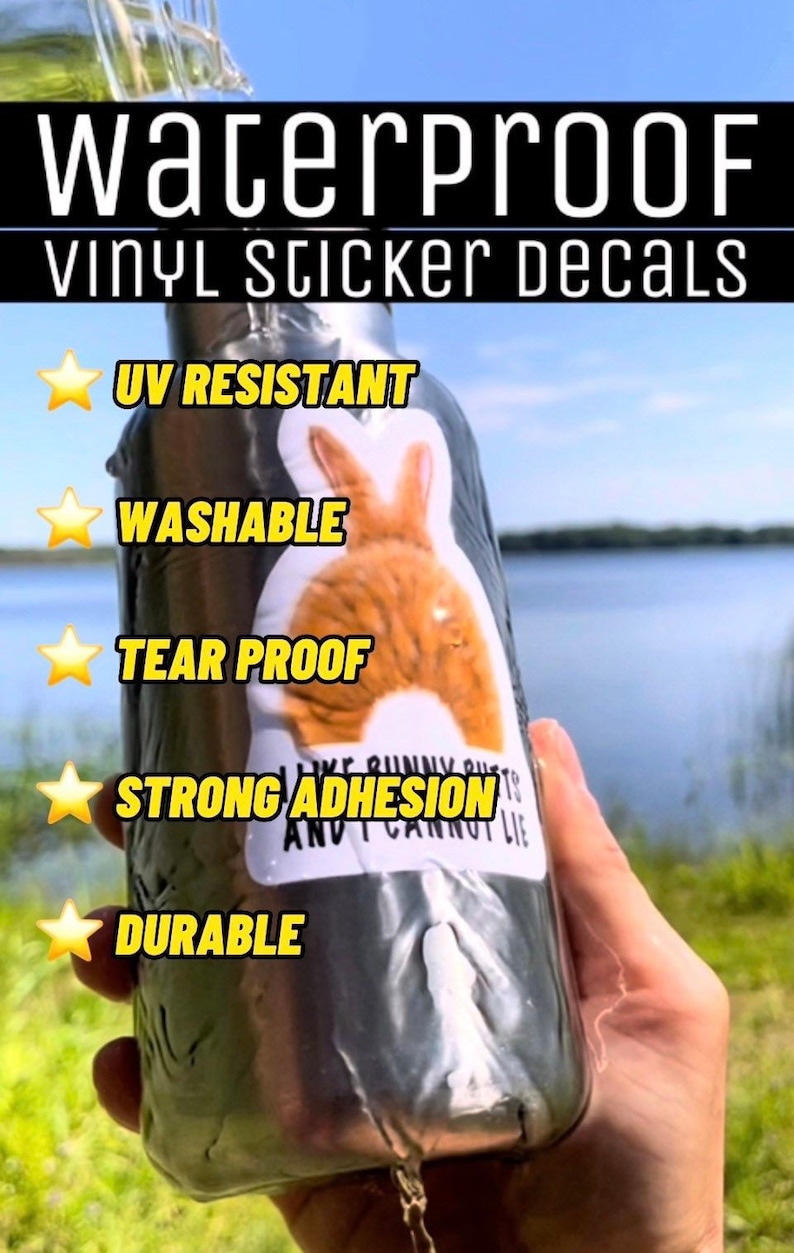 Bearded Dragon Stickers Lizard Stickers Reptile Stickers - Etsy