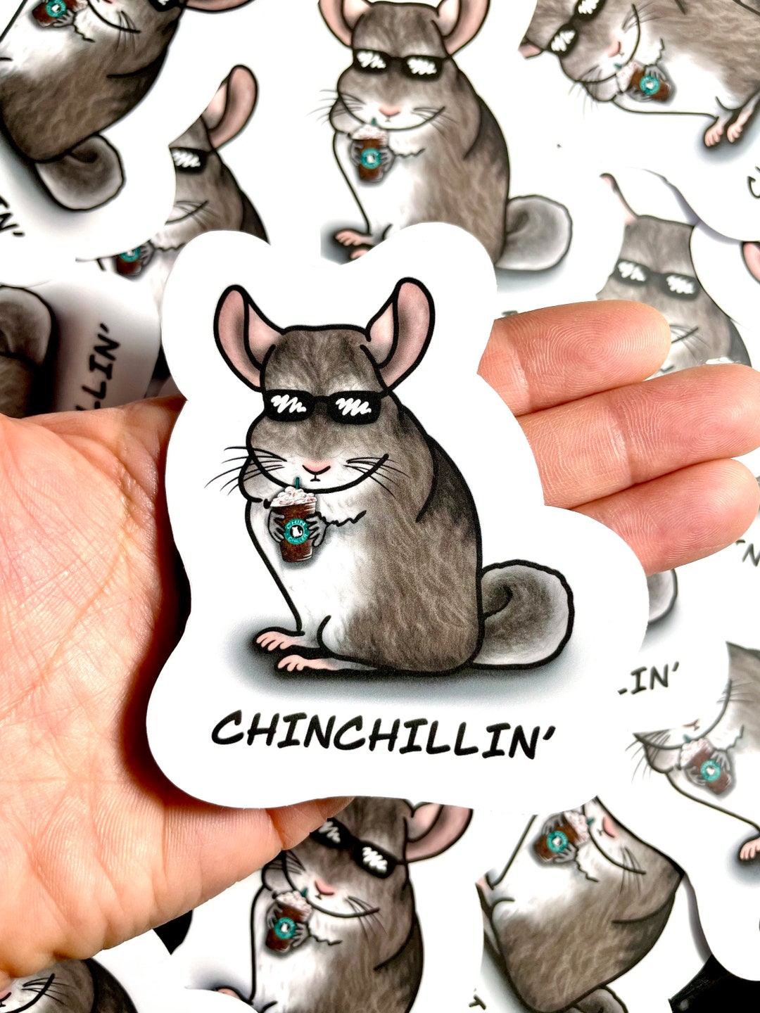 Chinchilla Stickers | Animal Stickers | Waterproof, Weatherproof Vinyl ...