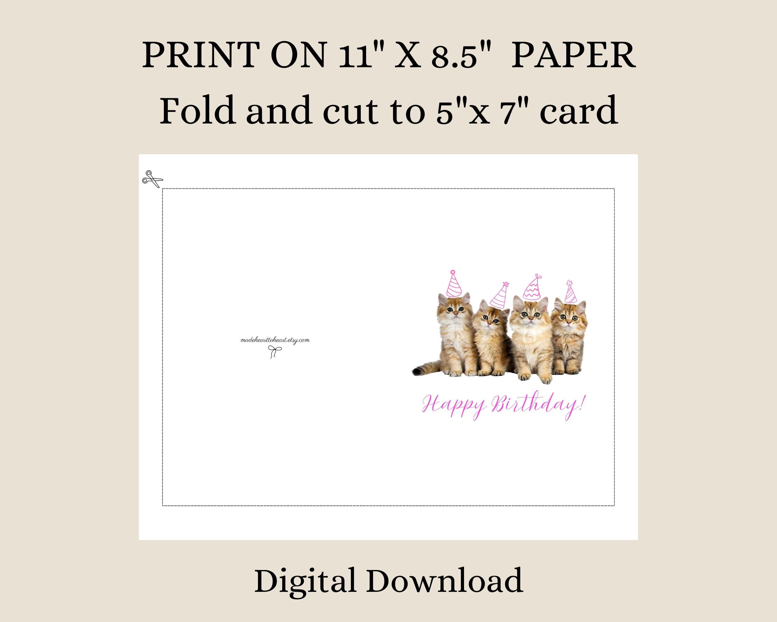Kittens Birthday Card | Cat Birthday Card, Kittens in Party Hats ...