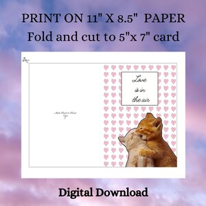Cute Anniversary Card | Kittens, Cats, for Cat Lovers, Valentine's, Cat ...