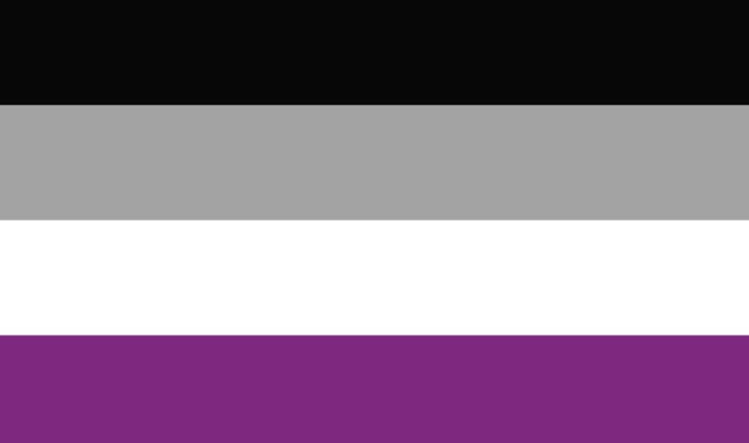 Ace Spectrum Pride Flag Bracelets (singles) - Etsy