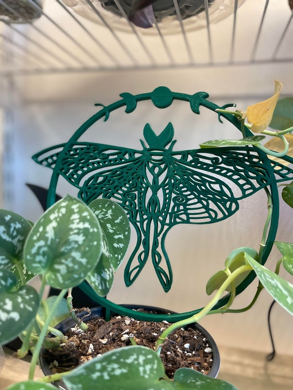 Death Moth Moon Trellis - Etsy