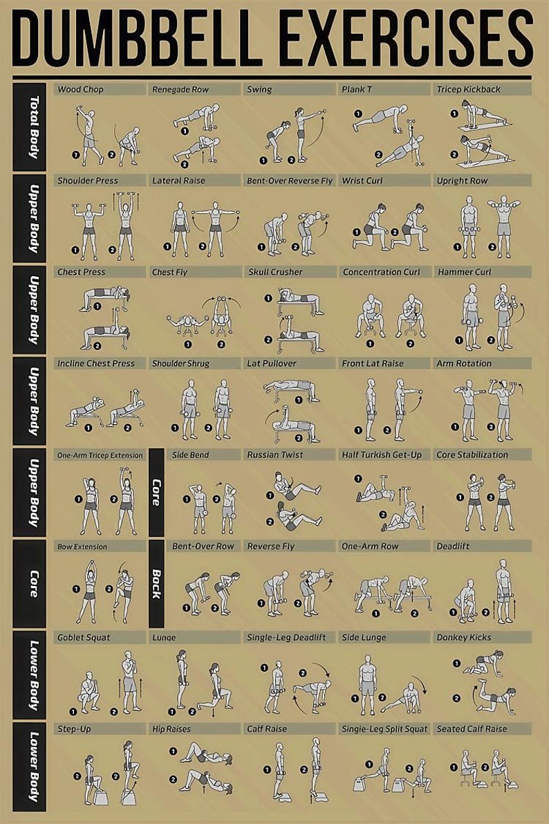 Dumbbell Exercises Posters Fitness Knowledge Metal Signs Wall Decor ...