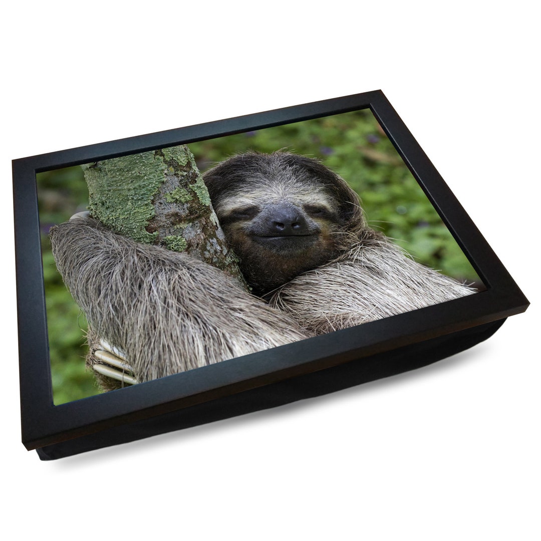 Sloth Deluxe Cushioned Lap Tray Wooden Frame Bean Bag Cushion Lap Top ...