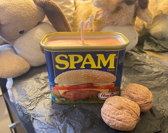 Funny Prank Decor - Etsy