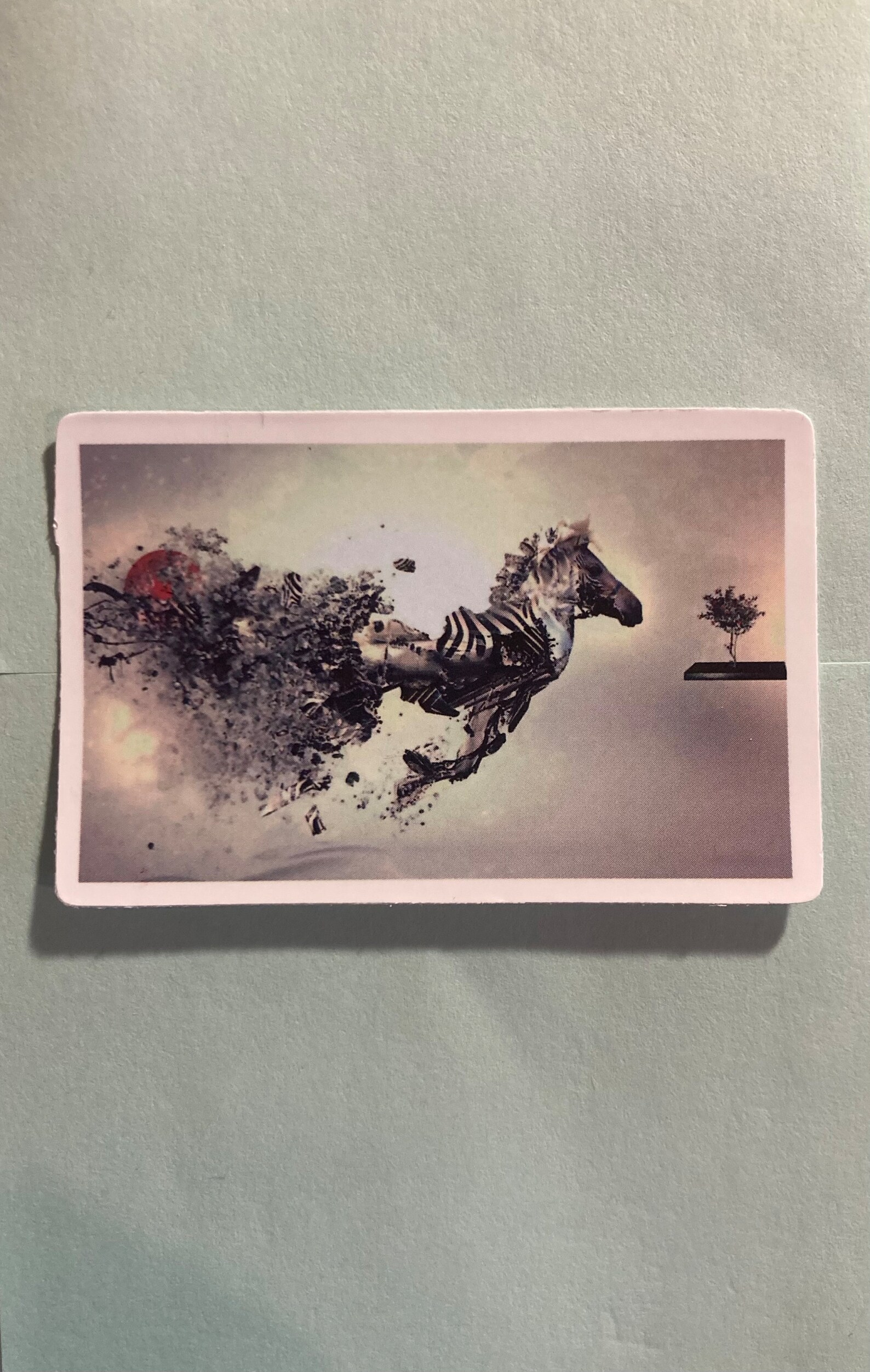 Zebra/horse/donkey Sticker!!! - Etsy