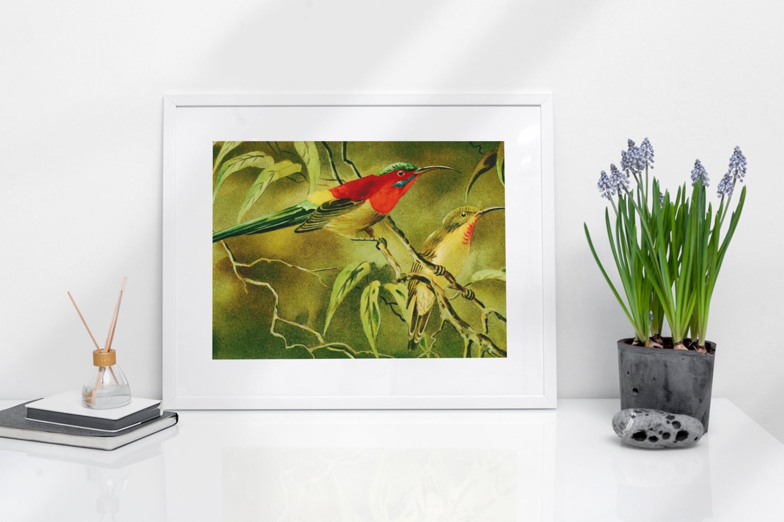 Green-tailed Sunbird, Vintage Bird Print, Himalayan Bird Print, Yellow ...