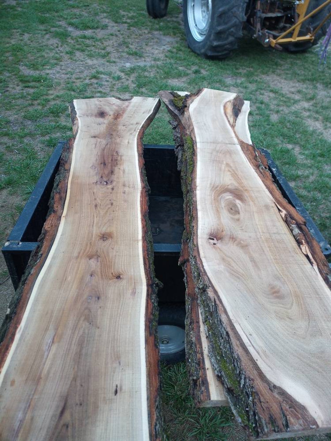 Siberian Elm Live Edge Slabs - Etsy