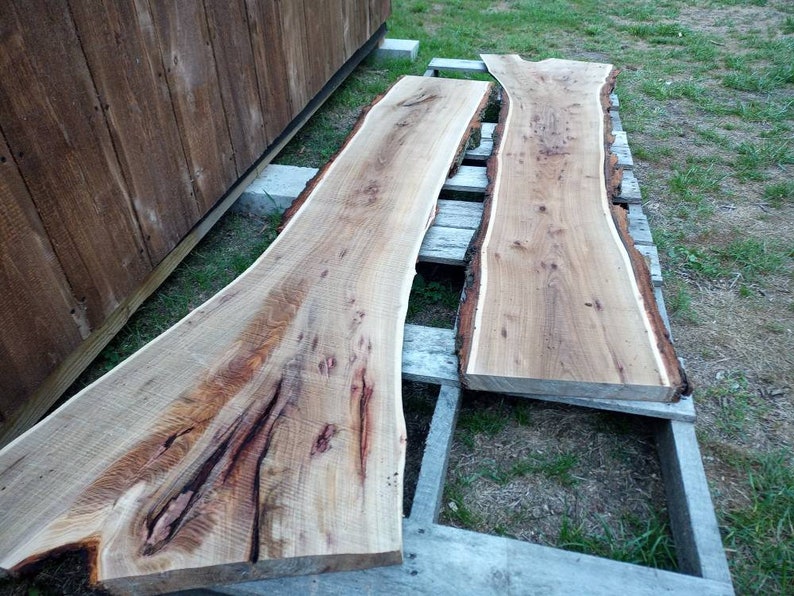 Siberian Elm Live Edge Slabs - Etsy