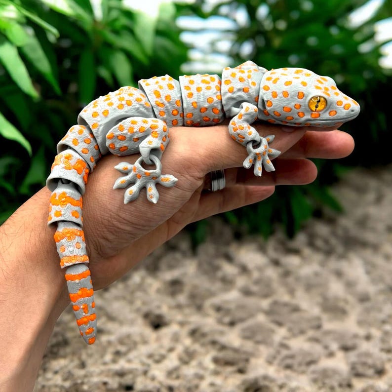 Tokay Gecko – Articulated 3D Printed Lizard Toy - Etsy