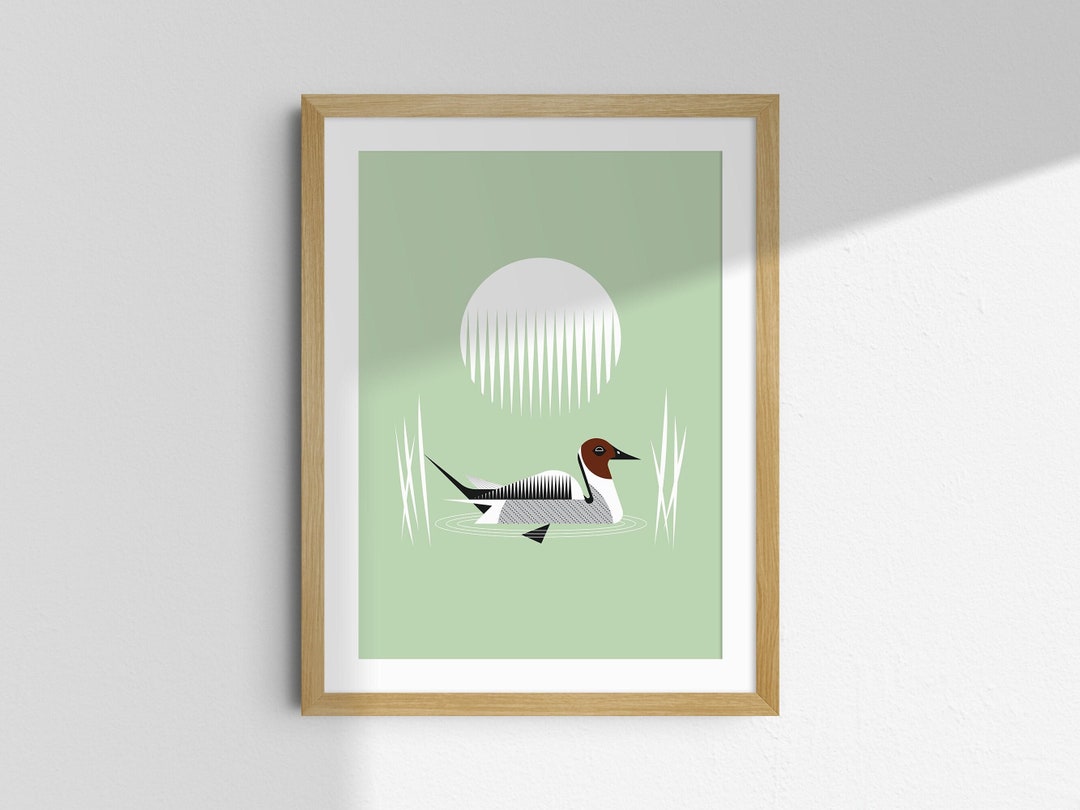 Northern Pintail, Hunting Decor, Cabin Decor, Gifts for Birdwatchers ...