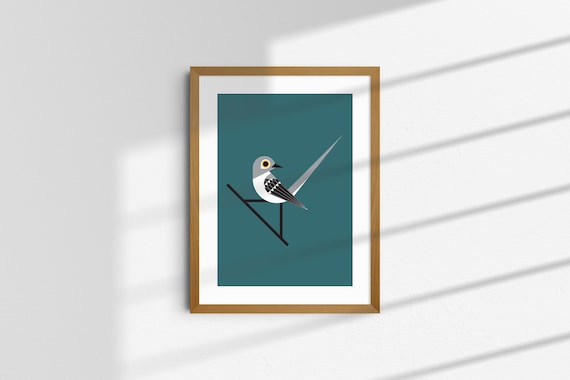 Mockingbird Modern Bird Art Prints Bird Wall Decor Birds of - Etsy