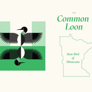Loon, Minnesota, Modern Bird Art Prints, Bird Wall Decor, Birds of ...