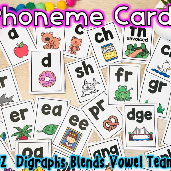 Zoo Phonics Flash Cards - Etsy