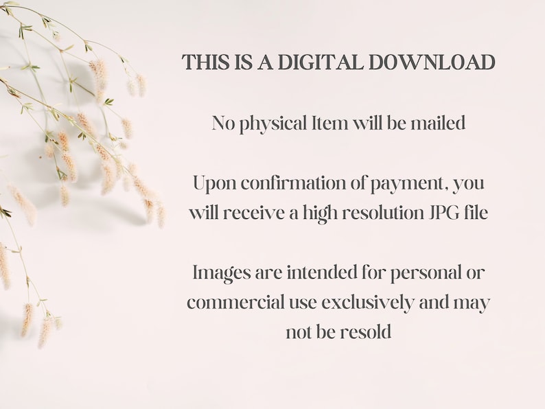 Accent Coffee Mug Size Chart and Color Guide, 11oz Ceramic Cup Size ...