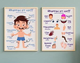 Body Parts in Welsh - Etsy