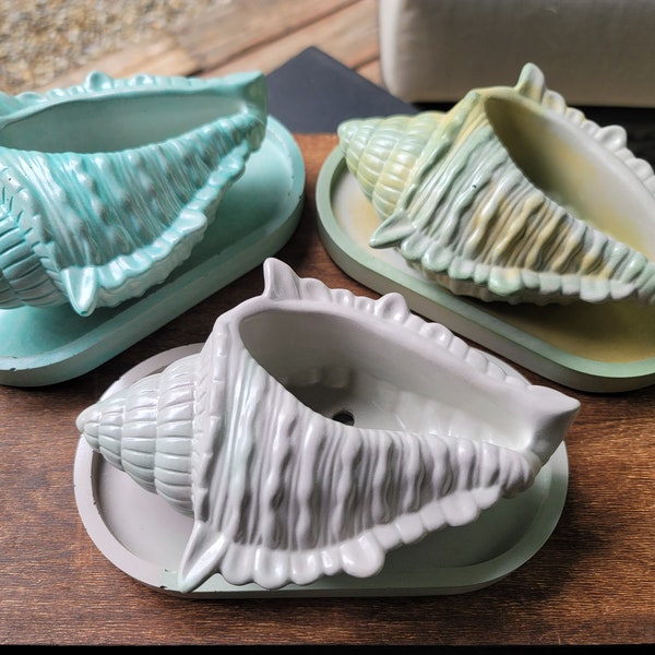 Seashell With Succulents - Etsy