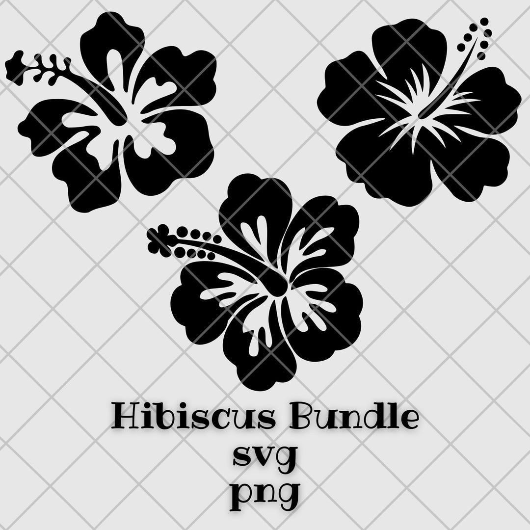 Hibiscus SVG PNG Bundle - Etsy