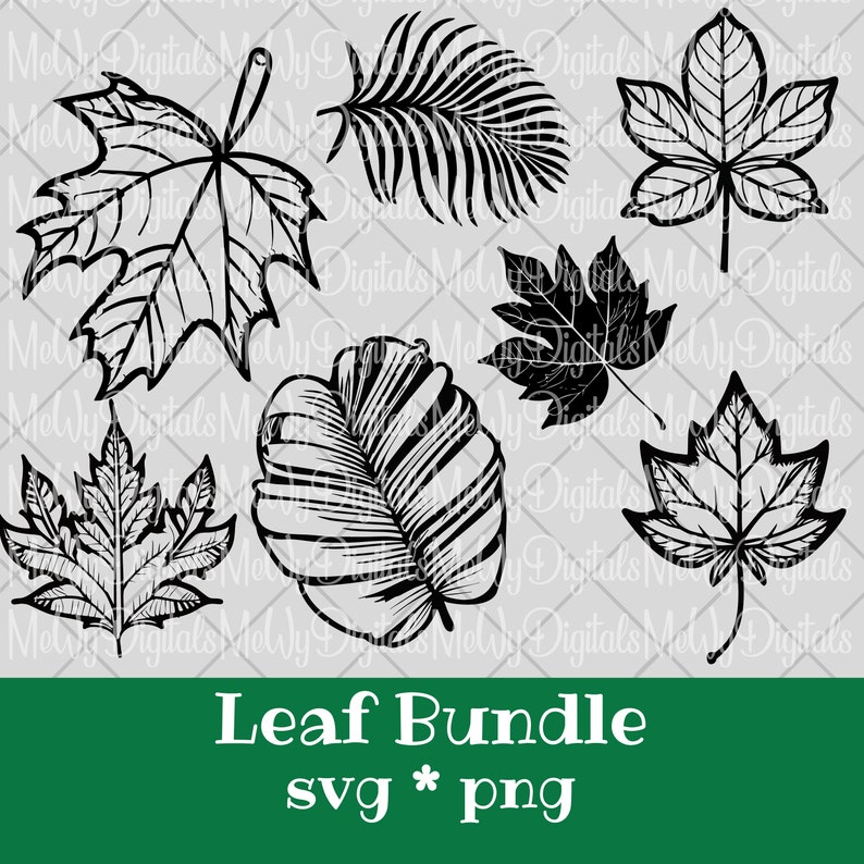 Leaf SVG PNG Bundle - Etsy