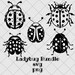 Ladybug SVG PNG Bundle - Etsy
