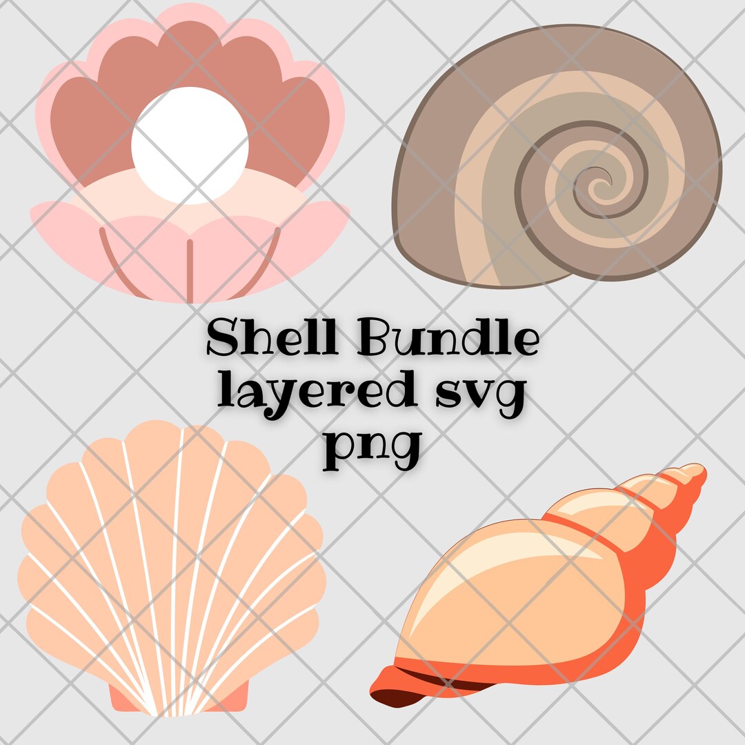 Seashell Layered SVG PNG Bundle - Etsy