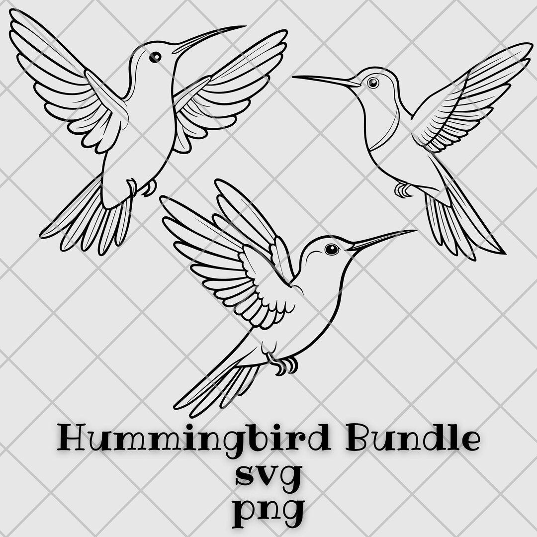Hummingbird SVG PNG Bundle - Etsy