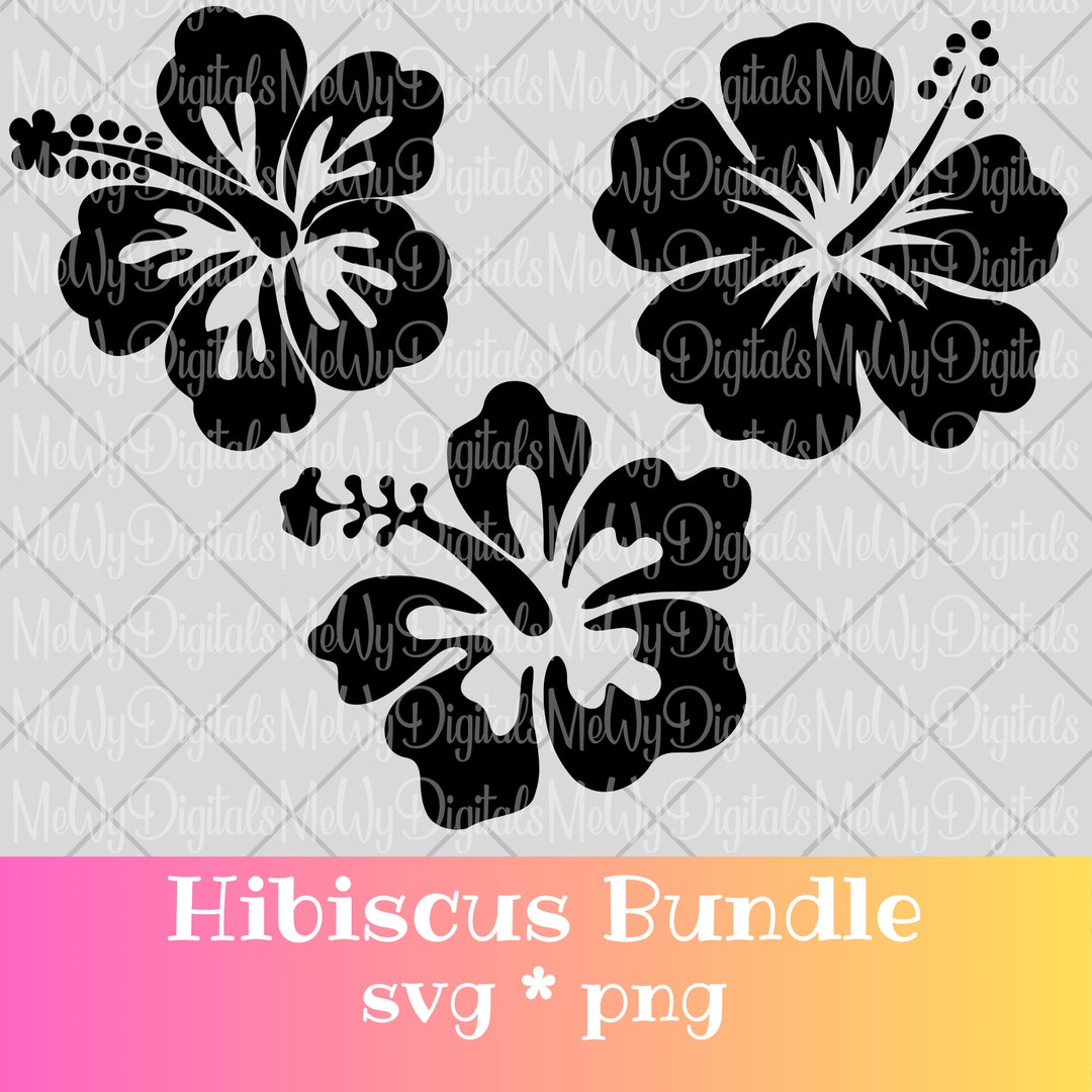Hibiscus SVG PNG Bundle - Etsy