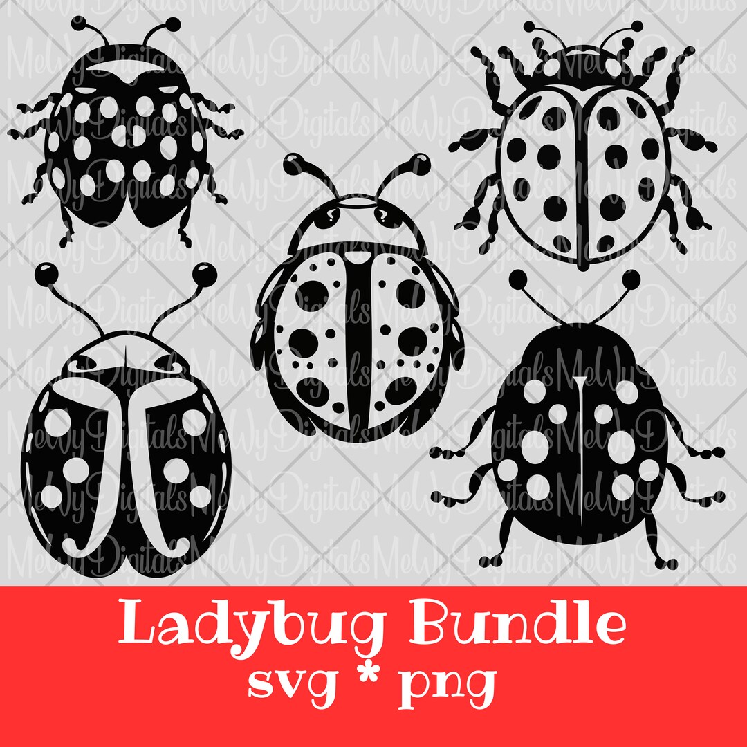 Ladybug SVG PNG Bundle - Etsy