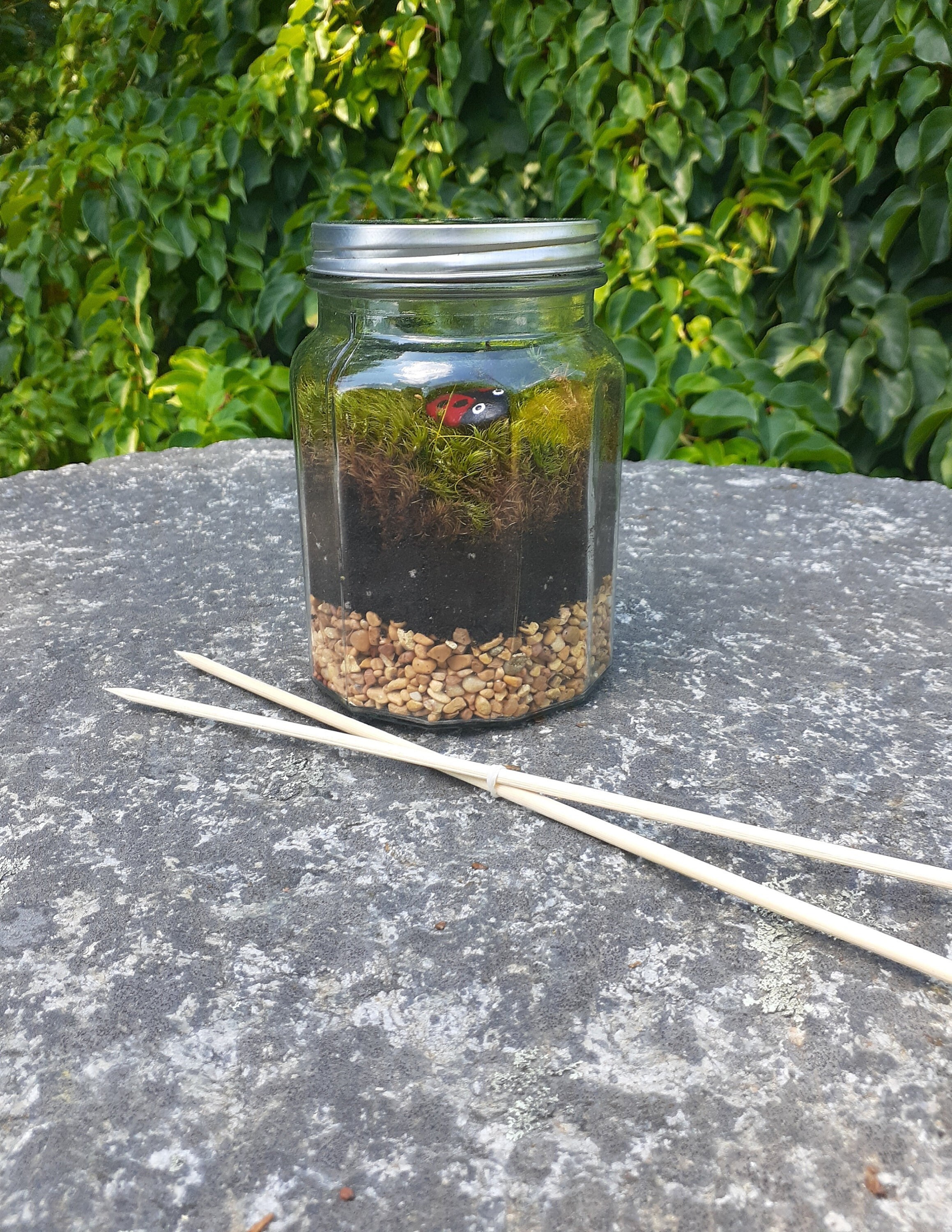 Diy Terrarium Kit: (includes Moss, Ladybug Rock, Soil, Jar, Gravel, and ...