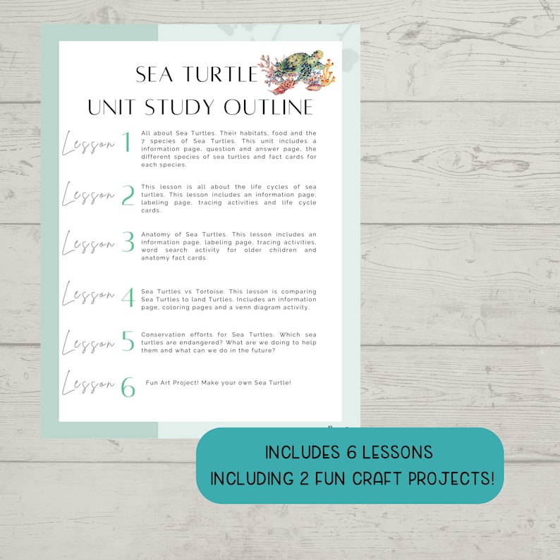 Sea Turtle Unit Study, Mini Sea Turtle Unit Study, Homeschool Science ...
