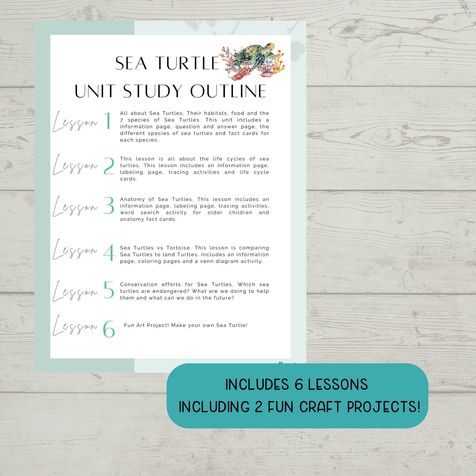 Sea Turtle Unit Study, Mini Sea Turtle Unit Study, Homeschool Science ...