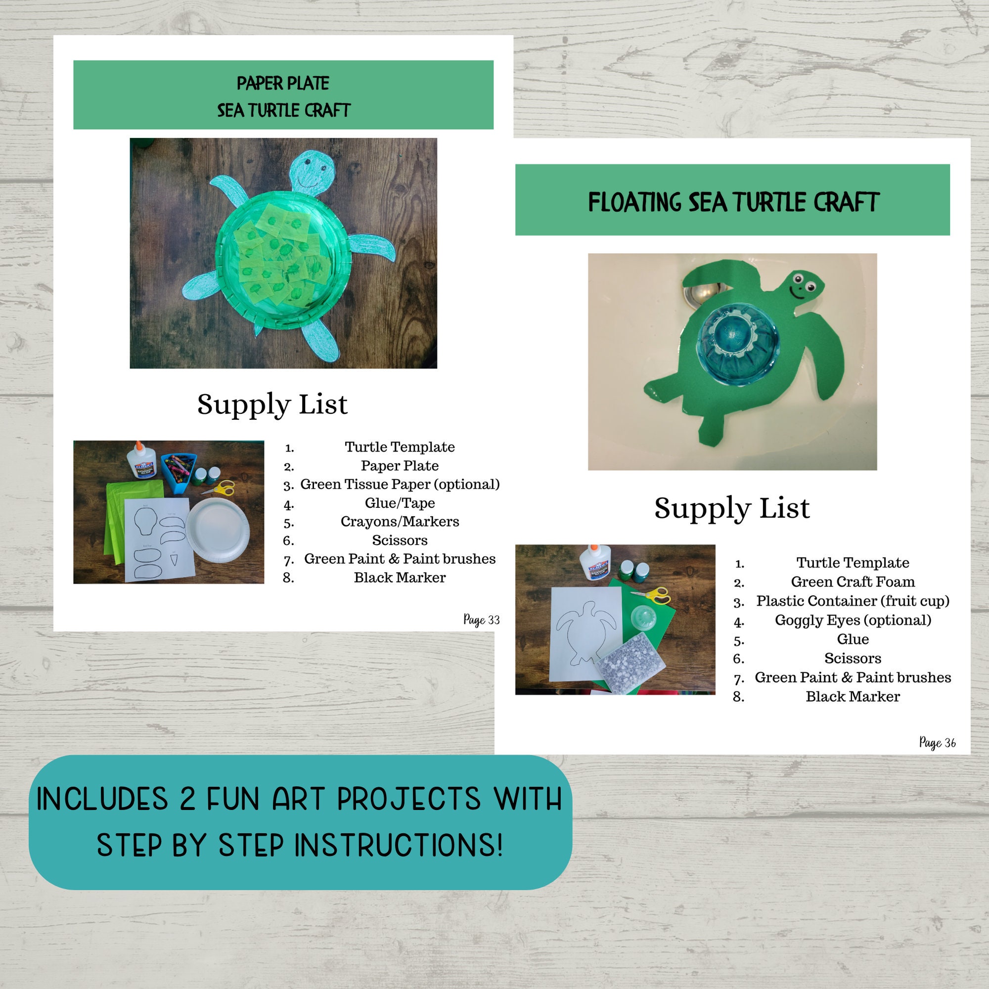 Sea Turtle Unit Study, Mini Sea Turtle Unit Study, Homeschool Science ...