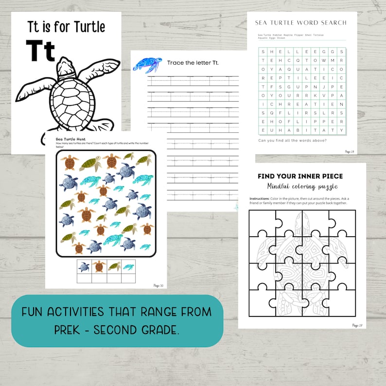 Sea Turtle Unit Study, Mini Sea Turtle Unit Study, Homeschool Science ...