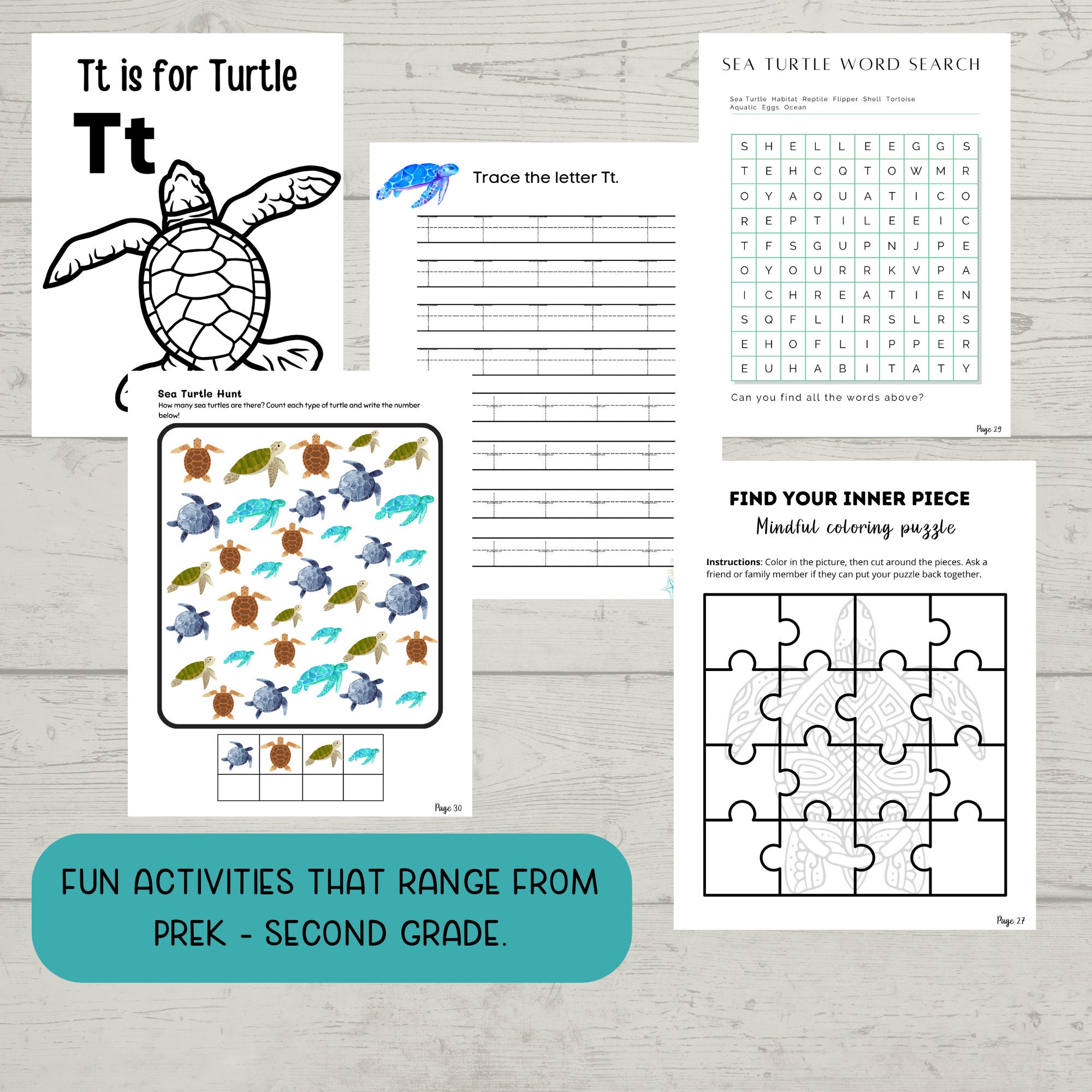 Sea Turtle Unit Study, Mini Sea Turtle Unit Study, Homeschool Science ...
