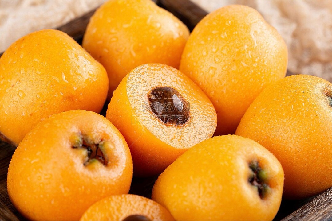 Fresh Loquat Fruit, BEST QUALITY Organic Loquat, Sweet Delicious ...