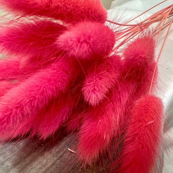 Hot Pink Bunny Tail