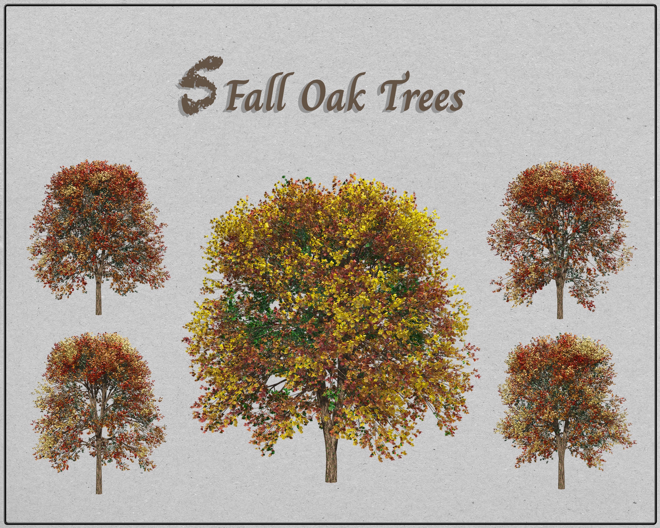Seasonal Trees, Tree Clipart, Tree Pack, Oak Tree, Tree Images, Trees ...