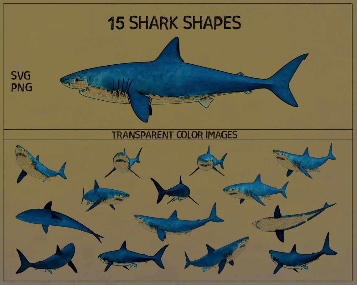 Shark Pack Clipart, Shark Clipart, Sharks, Shark Silhouette, Cartoon ...