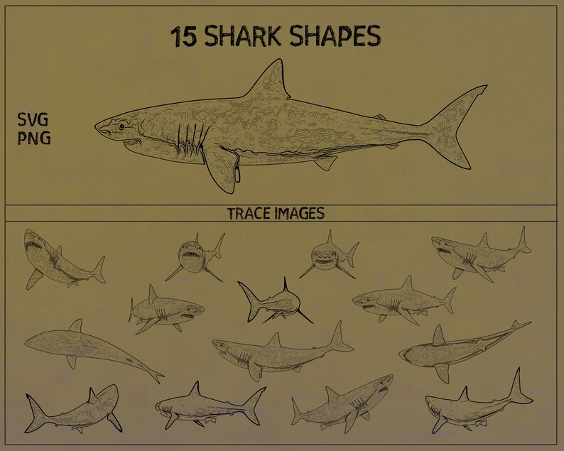 Shark Pack Clipart, Shark Clipart, Sharks, Shark Silhouette, Cartoon ...