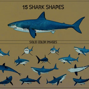 Shark Pack Clipart, Shark Clipart, Sharks, Shark Silhouette, Cartoon ...
