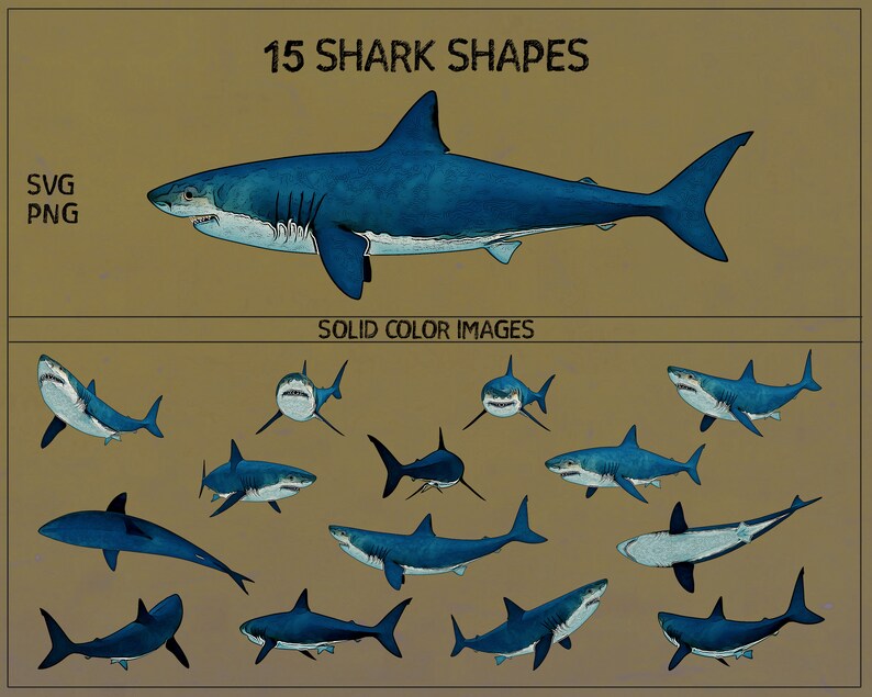 Shark Pack Clipart, Shark Clipart, Sharks, Shark Silhouette, Cartoon ...