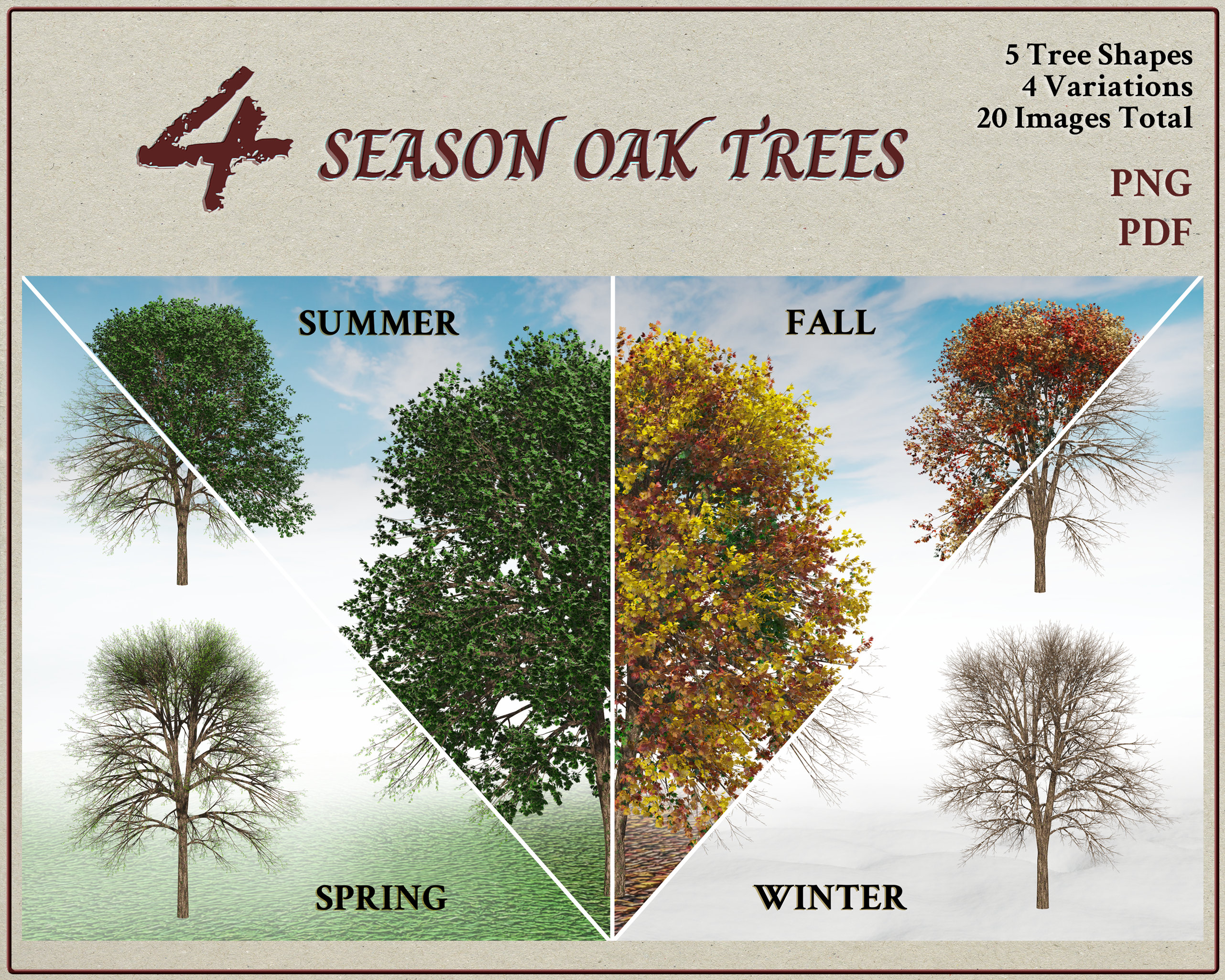 Seasonal Trees, Tree Clipart, Tree Pack, Oak Tree, Tree Images, Trees ...