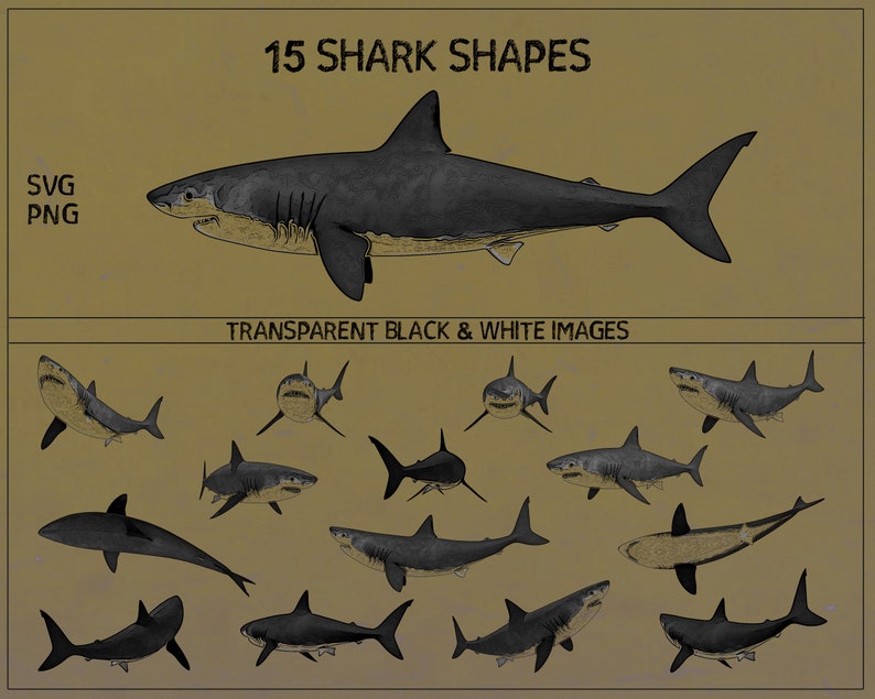 Shark Pack Clipart, Shark Clipart, Sharks, Shark Silhouette, Cartoon ...