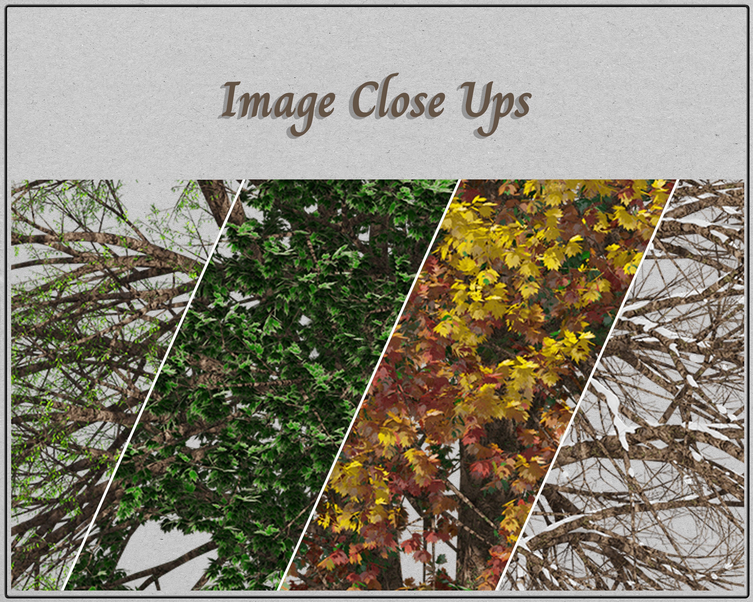 Seasonal Trees, Tree Clipart, Tree Pack, Oak Tree, Tree Images, Trees ...