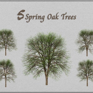 Seasonal Trees, Tree Clipart, Tree Pack, Oak Tree, Tree Images, Trees ...