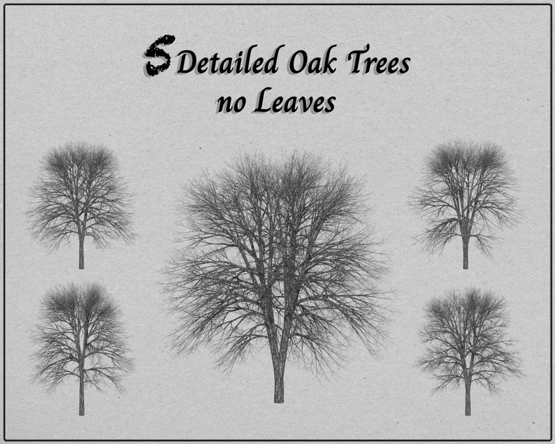 Grayscale Trees, Silhouette Trees, Tree Clipart, Tree Art, Tree Pack ...