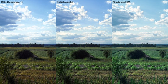 Ektachrome Vs Kodachrome